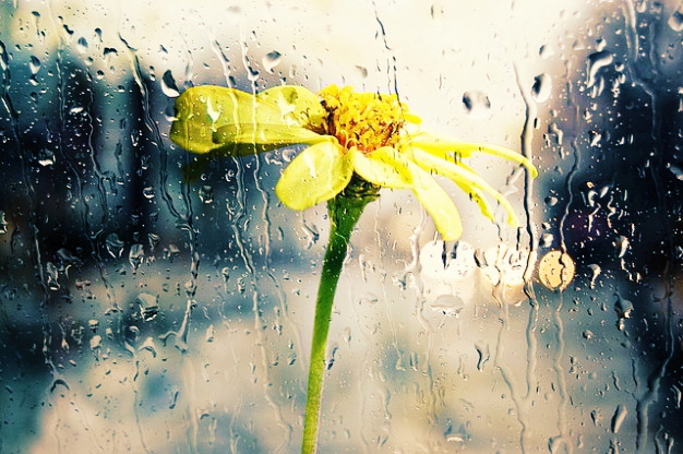 Y así, el dolor menguaba – Huecos de magia